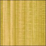 5th Wall Design | Our Wood Options For Your Projects